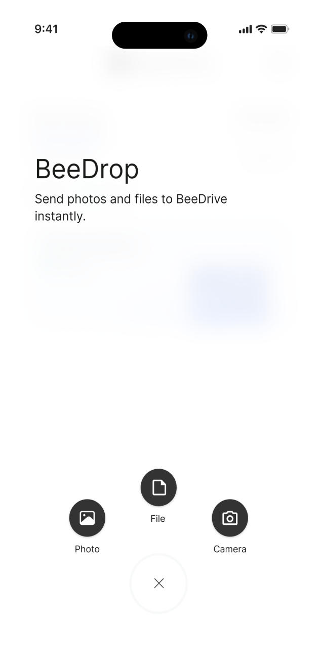 BeeDrive | Your personal backup hub